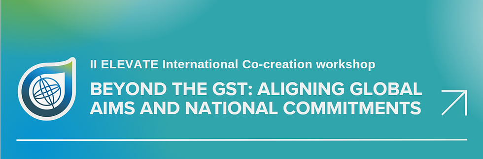 International Stakeholder Workshops | ELEVATE